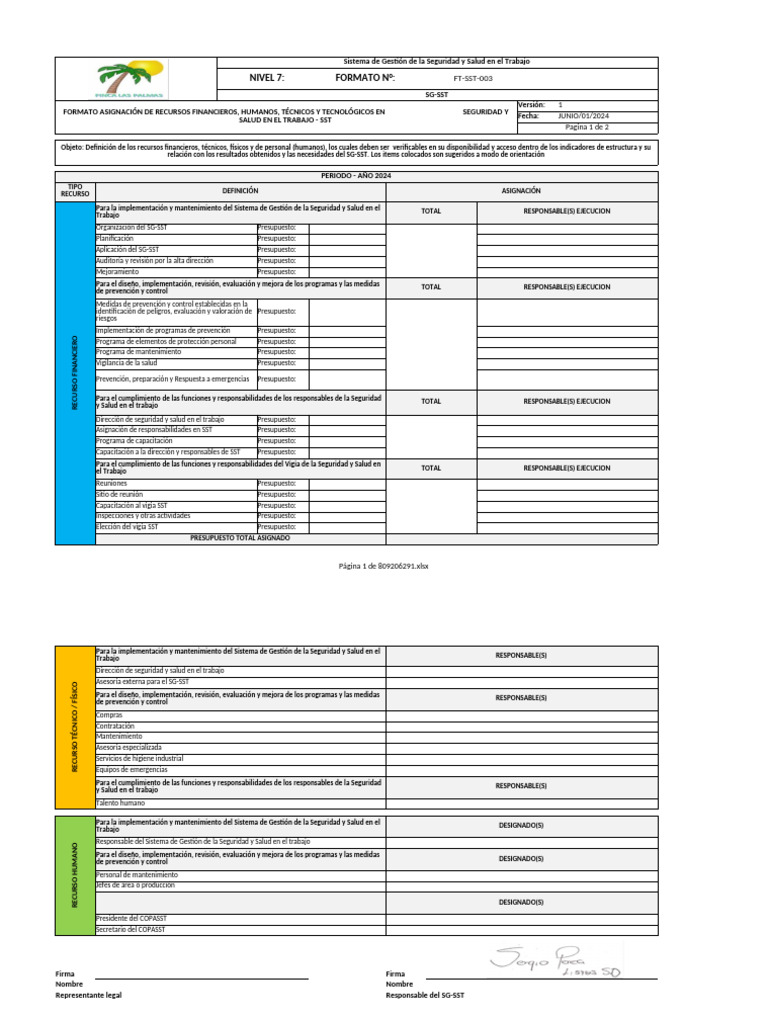 FT-SST-003 Formato Asignación Recursos SST | PDF | La seguridad ...