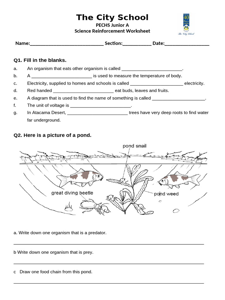 Science Reinforcement Worksheet | PDF