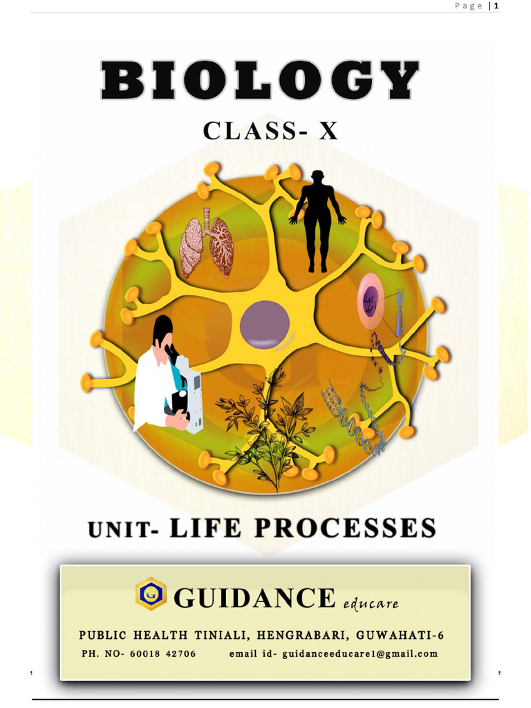 Understanding Life Processes and Nutrition | PDF | Cellular Respiration ...