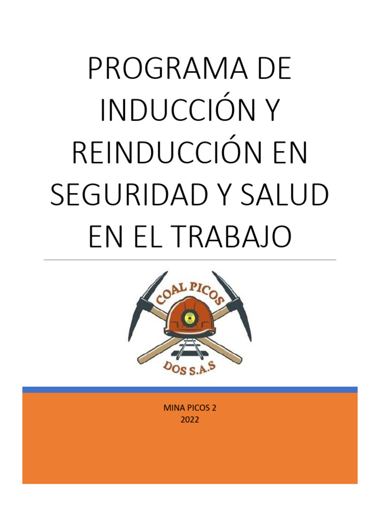 PRG-SST-002 Programa de Inducción y Reinducción | PDF | Business | Gestión de recursos humanos
