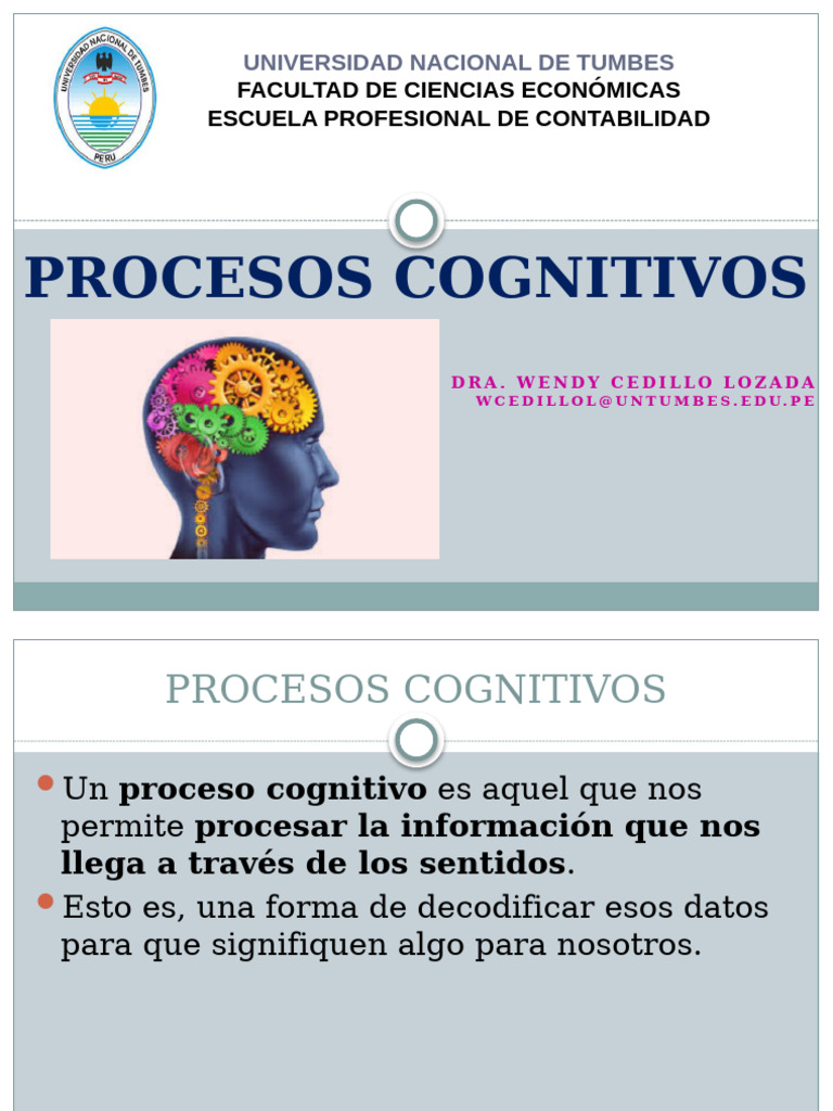 Procesos Cognitivos Pdf Memoria Percepción