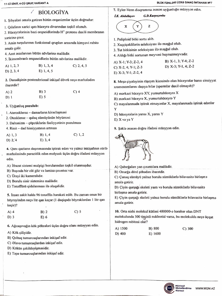 Otk Sınaq 7 4 Cü Qrup 16.06.2024 PDF | PDF