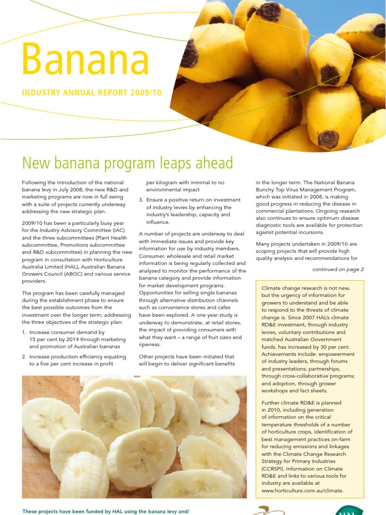 Banana: New Banana Program Leaps Ahead | PDF | Retail | Banana
