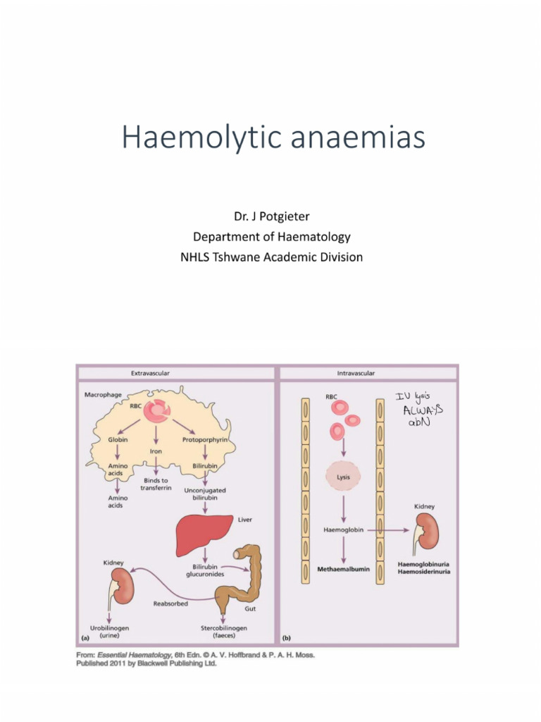 35 Haemolytic Anaemias | PDF
