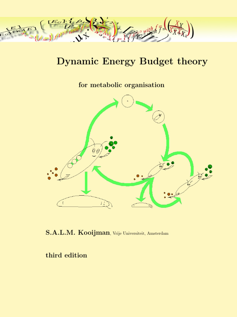 Dynamic Energy Budget Theory of Metabolic Organisation | PDF