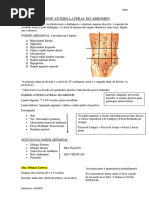 Anatomia da Região Inguinal | PDF | Anatomia