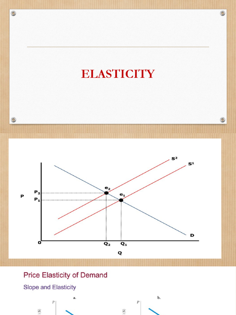 Understanding Elasticity: Key Concepts | PDF