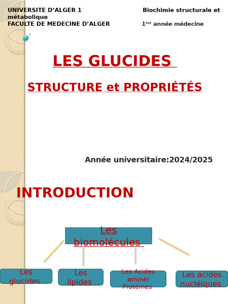 Les Glucides - Mon Cours 1-2024-2025 | PDF | Glucide | Glucose