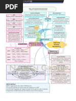 OE - Registration | PDF