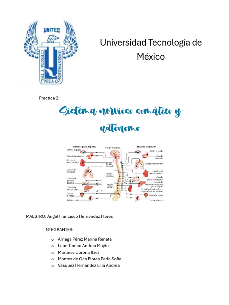 Practica 2 Sns y Sna | PDF | Dolor | Cerebro