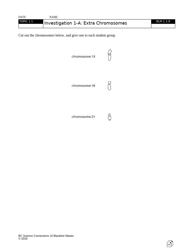 BLM 1 1 9 | PDF | Science & Mathematics
