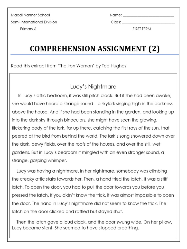 Primary 6 Comprehension Task | PDF | Mystery, Thriller & Crime Fiction