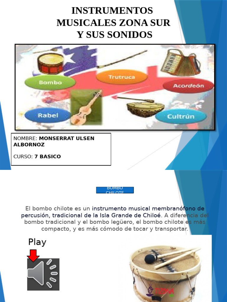 Instrumentos Musicales Zona Sur | PDF