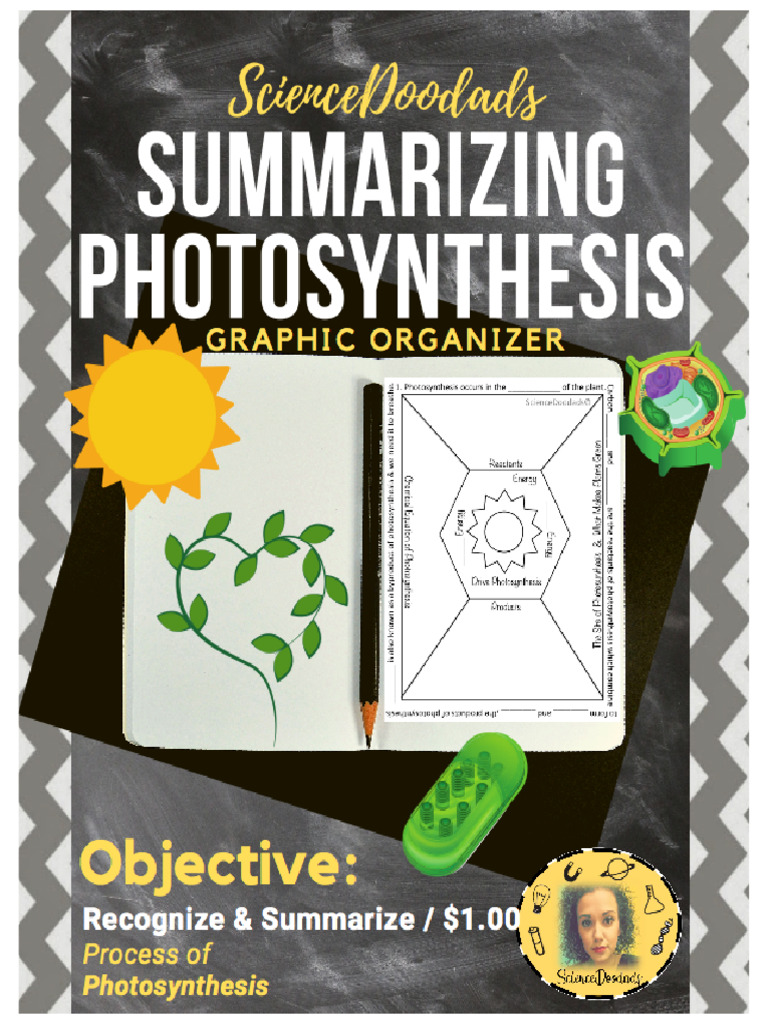SummarizingPhotosynthesisGraphicOrganizer 1 | PDF | Photosynthesis ...