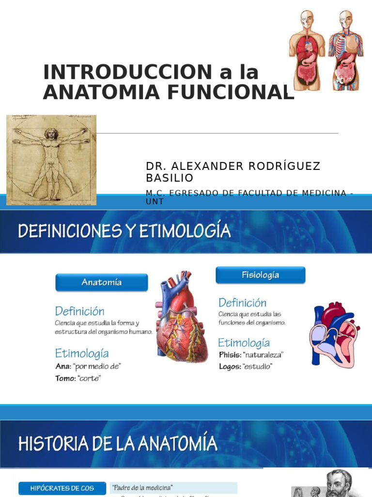 Introduccion A La Anatomia Funcional | PDF