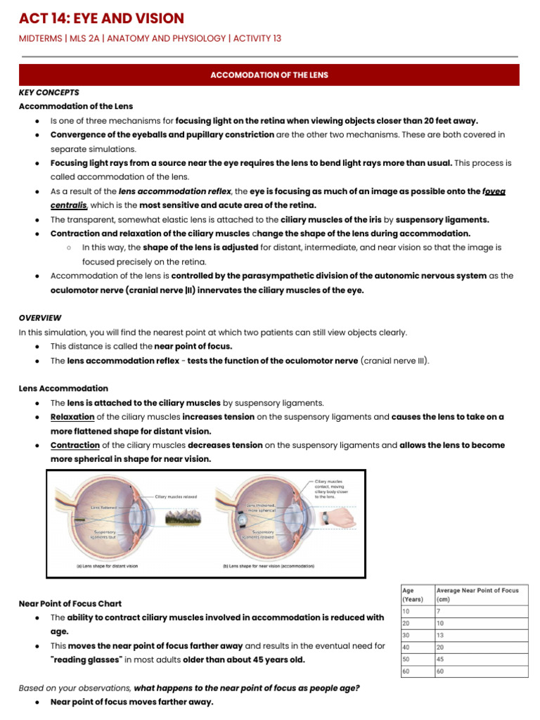 ACT 14_ EYE AND VISION-2 | PDF | Eye | Ophthalmology