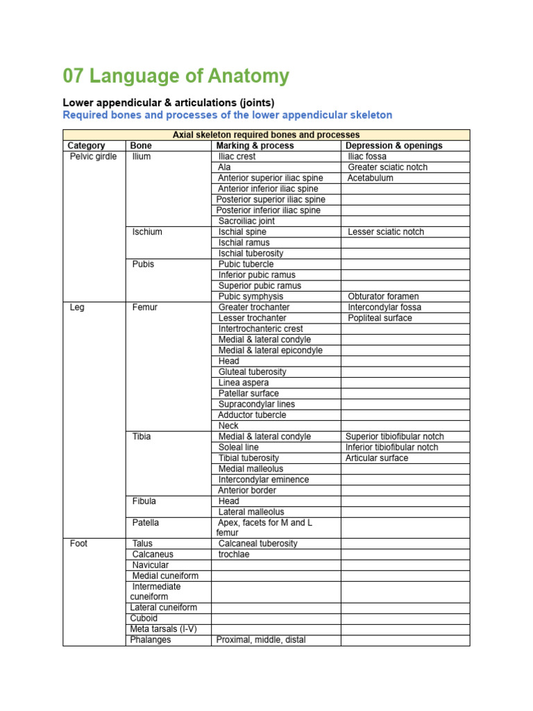 07 Language of Anatomy | PDF | Pelvis | Limbs (Anatomy)