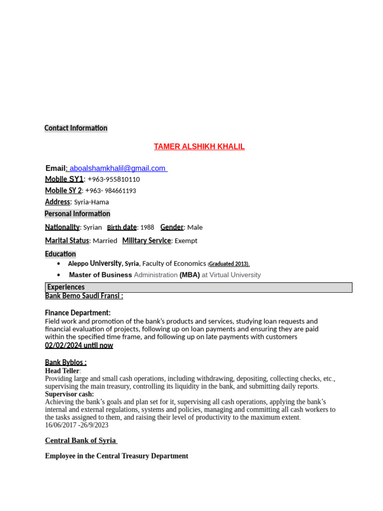 Tamer AL Shikh Khalil Curriculum Vitae 2024 | PDF | Banks | Syria