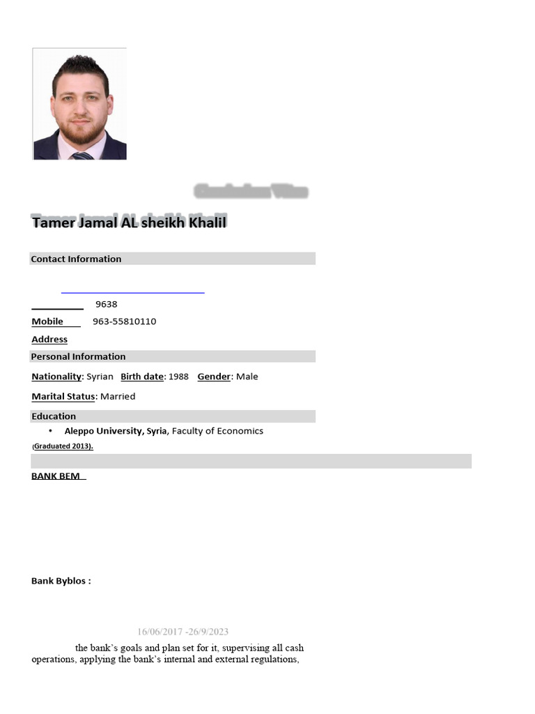 Tamer AL Shikh Khalil Curriculum Vitae1-3 | PDF | Banks | Syria