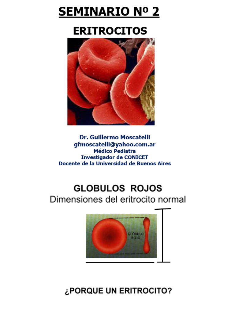 Eritrocitos | PDF | Glóbulo rojo | Sangre