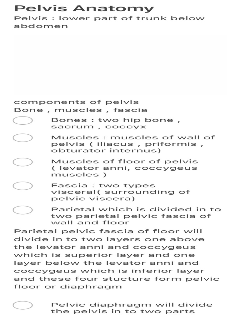 Pelvis Anatomy | PDF | Pelvis | Musculoskeletal System