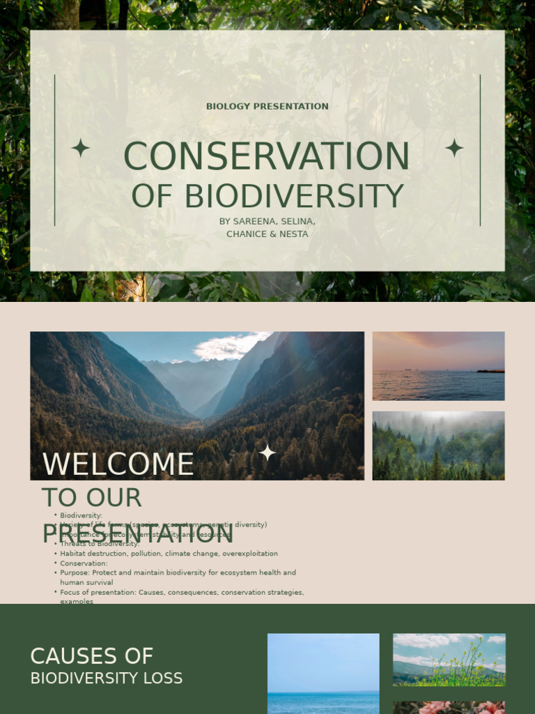 Conservation of Biodiversity Group 4 | PDF | Biodiversity ...
