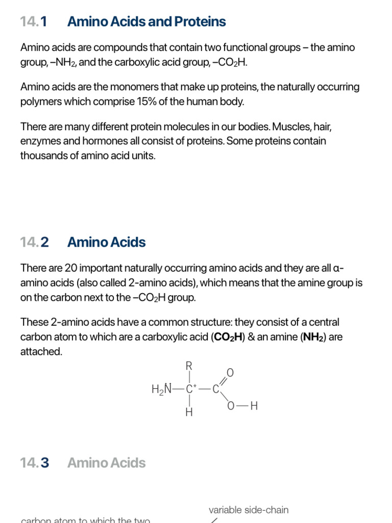 Amino Acids Notes | PDF | Amino Acid | Acid