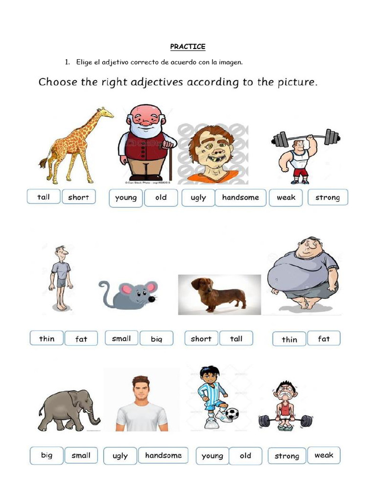 PRACTICE Animals - Adjectives | PDF