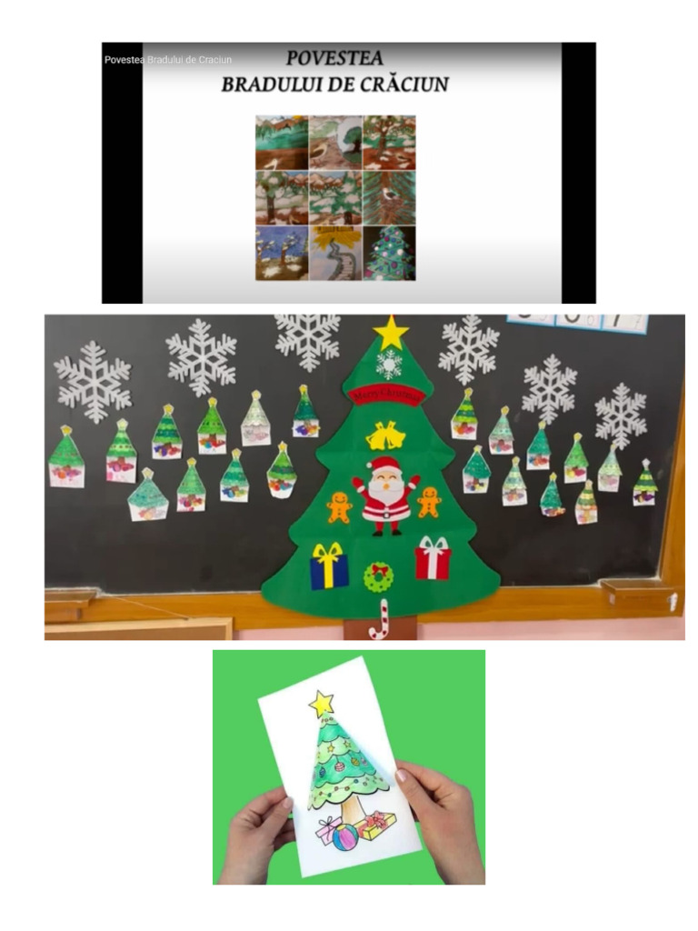 Scola Altfel - Povestea Bradului | PDF