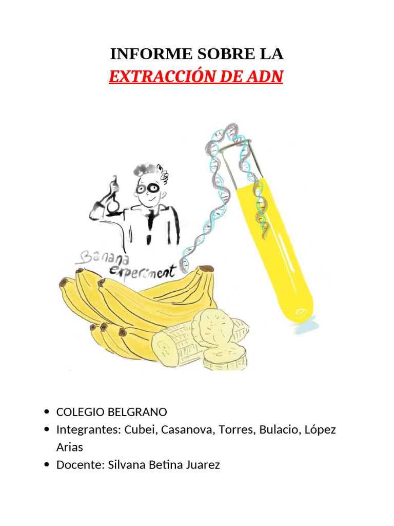 Extracción de ADN de Banana | PDF | Adn | Biología Celular)