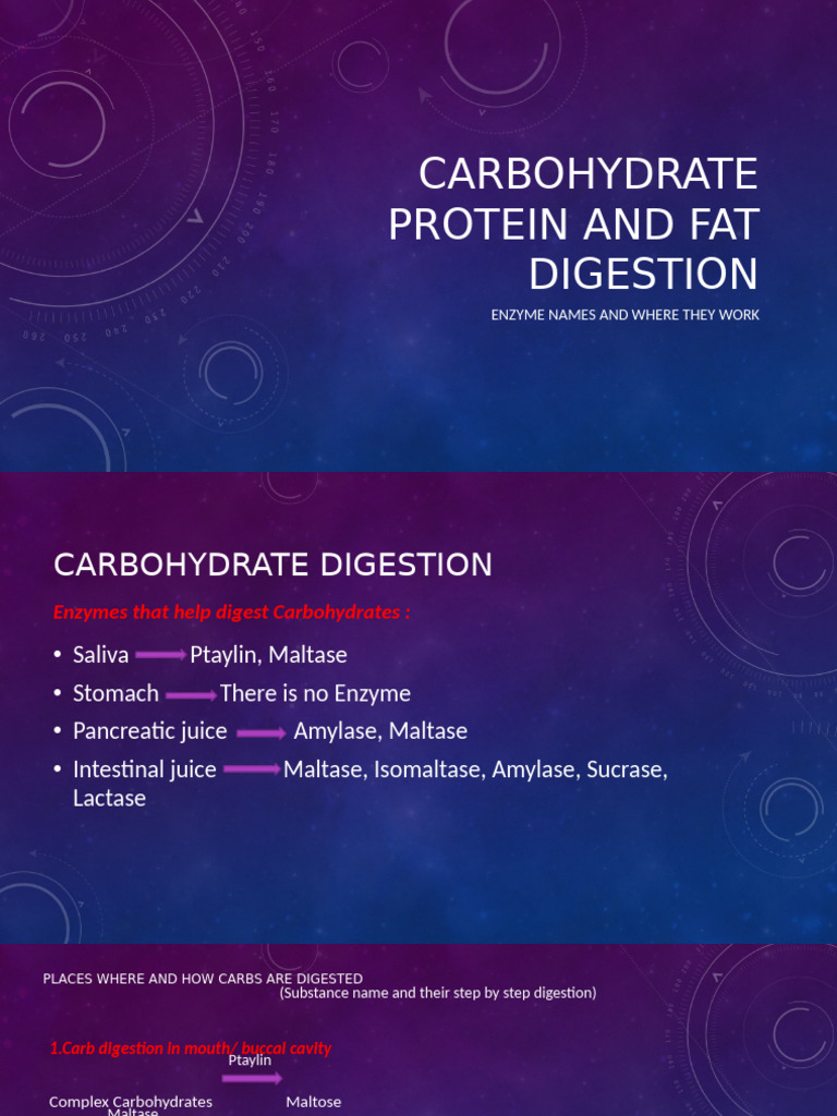 Carbohydrate Protein and Fat Digestion | PDF | Digestion | Stomach