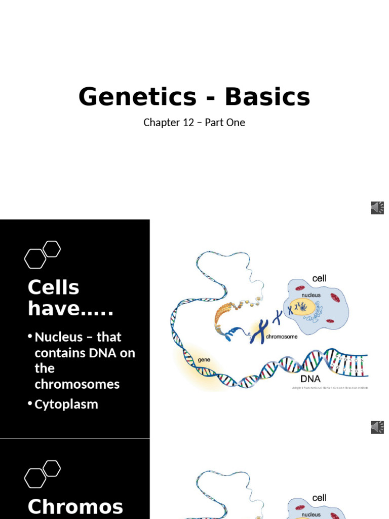 Chapter 12 Genetics - Basics Part One Fall 2024 | PDF | Allele | Zygosity