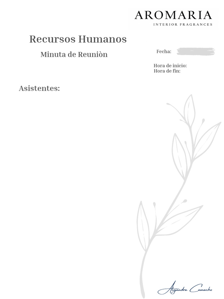 Minuta de Junta | PDF