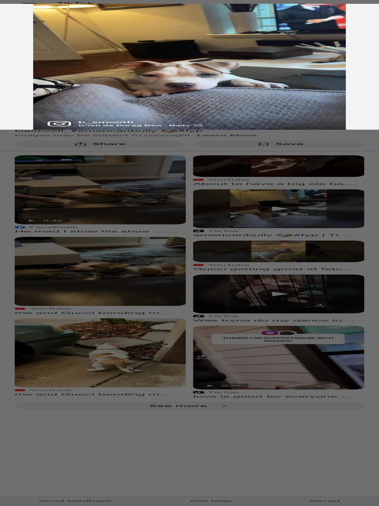 Obrien Caldwell Dog - Google Search | PDF