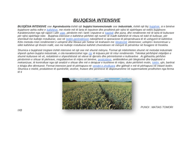 Bujqesia Intensive | PDF