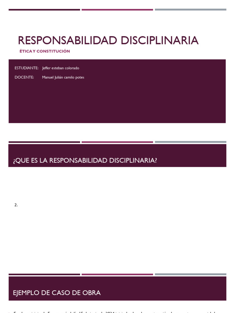 Responsabilidad Disciplinaria Jeffer | PDF | Business