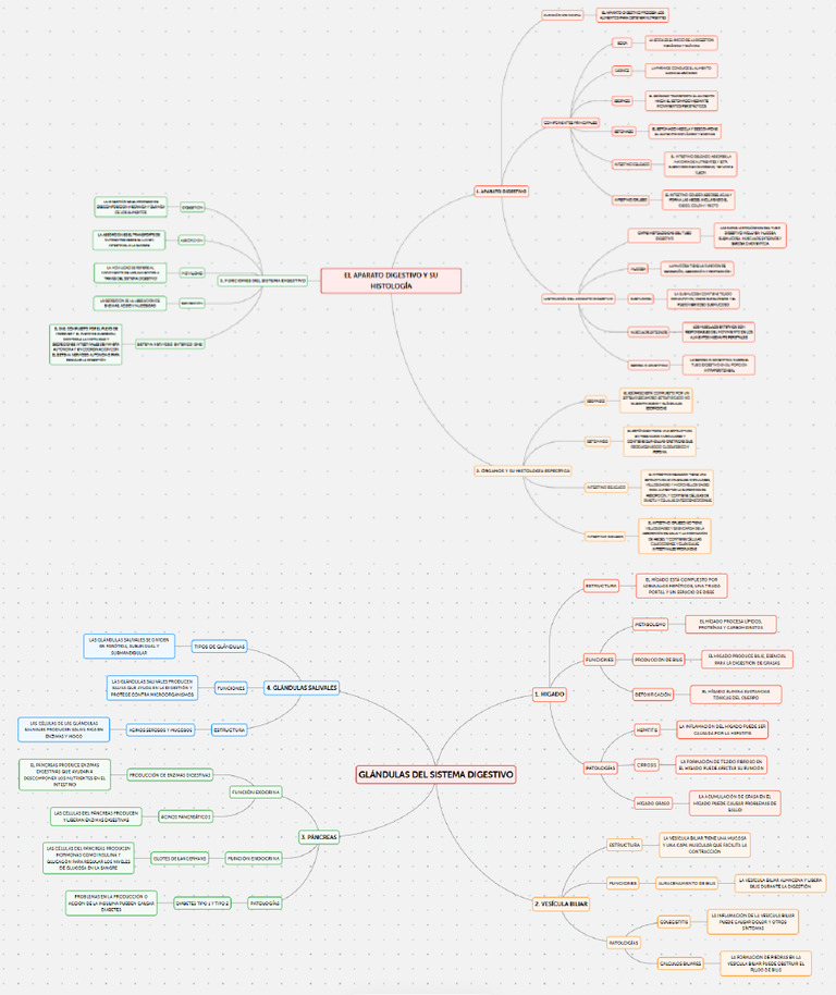 Mapa Conceptual Capitulo 17 y Capitulo 18 | PDF