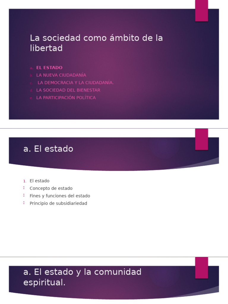 Estado y Bien Común en Democracia | PDF | Estado (política) | Sociedad