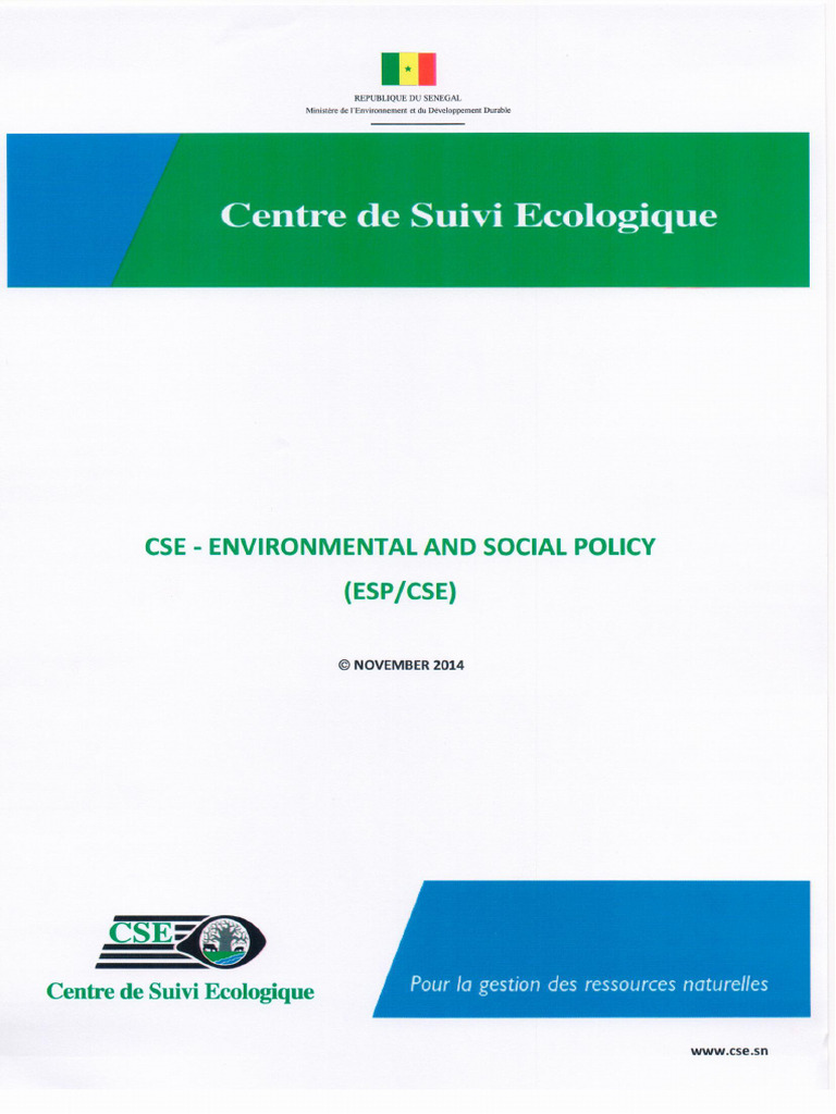 Rapport CSE Environmental and Social Policy | PDF