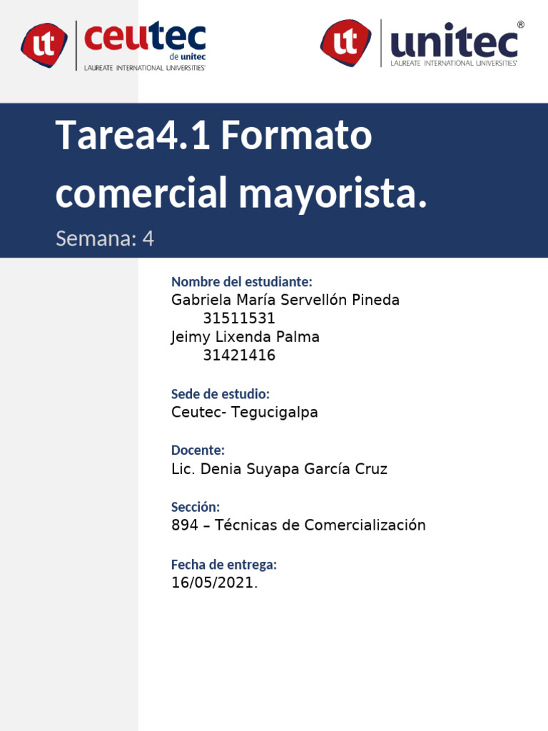 Tarea4.1 Formato - Comercial.y.Mayoristadocx | PDF | Al por menor | Economias