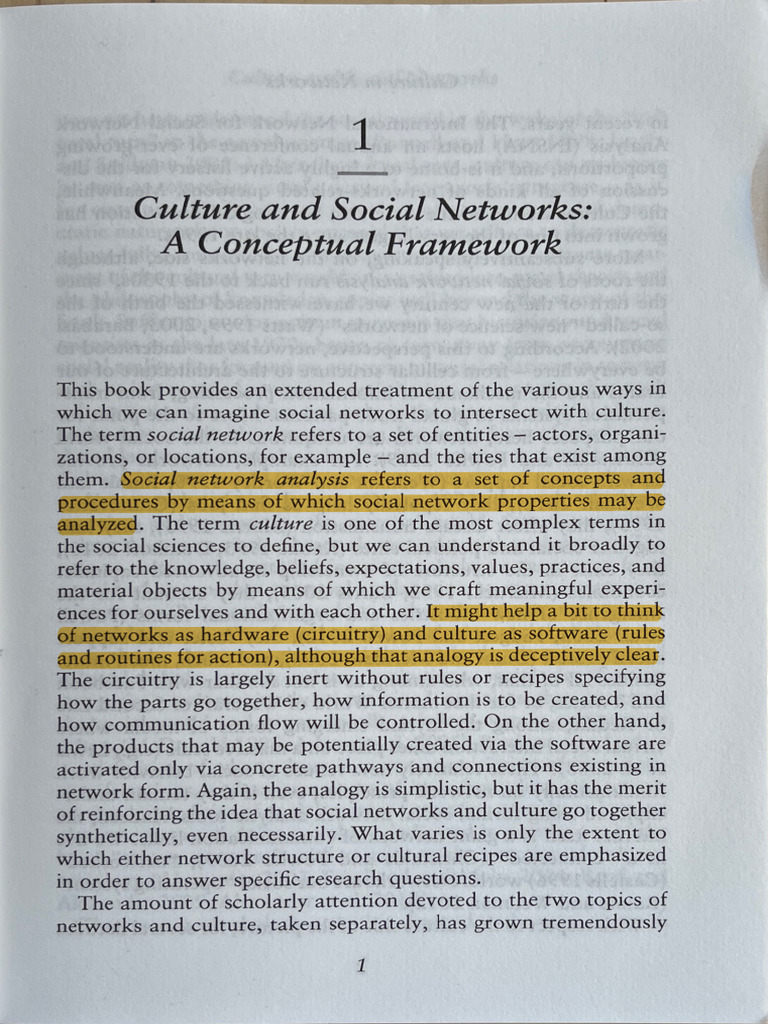 Culture & Social Networks: A Conceptual Framework | PDF