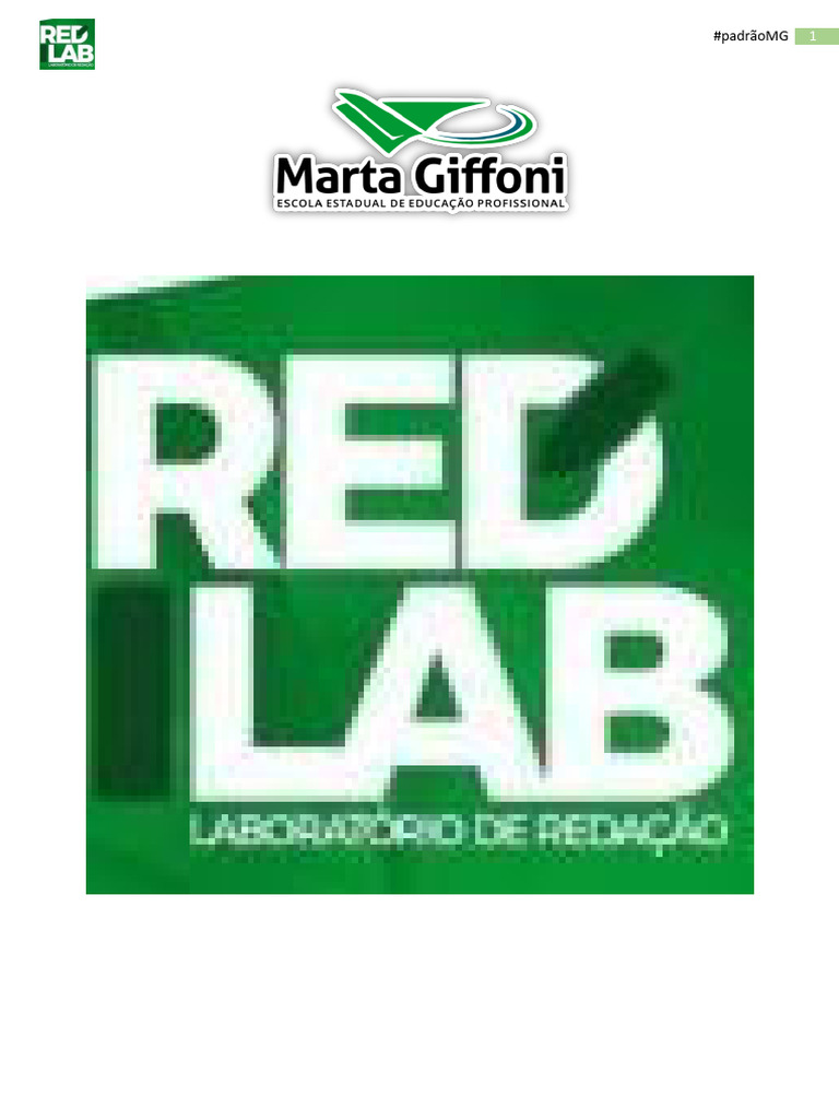 Estruturas Redlab 2024 - Atualizadas | PDF | Sociologia | Estado