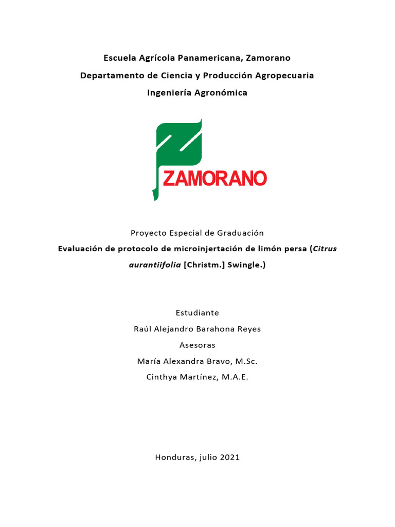 Cpa 2022 T013 | PDF | Plantas | Botánica