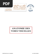 Anatomie du Corps Géniculé Latéral | PDF | Système visuel | Vision