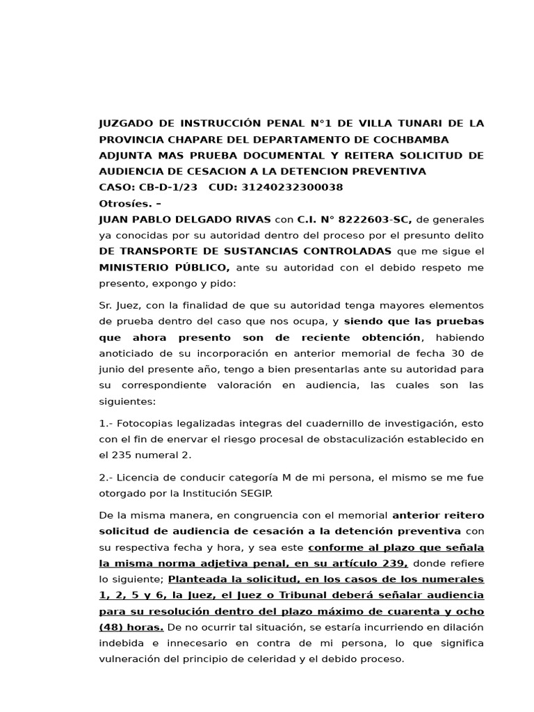 Adjunta Prueba Villalobo | PDF | Justicia | Crimen y violencia