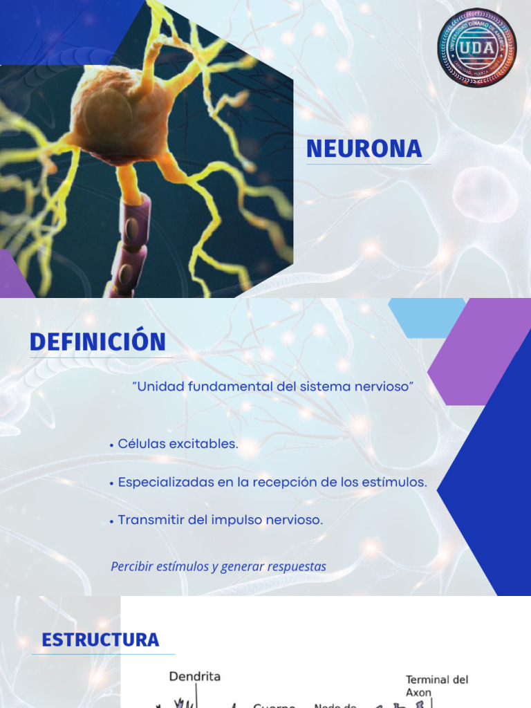 La Neurona | PDF