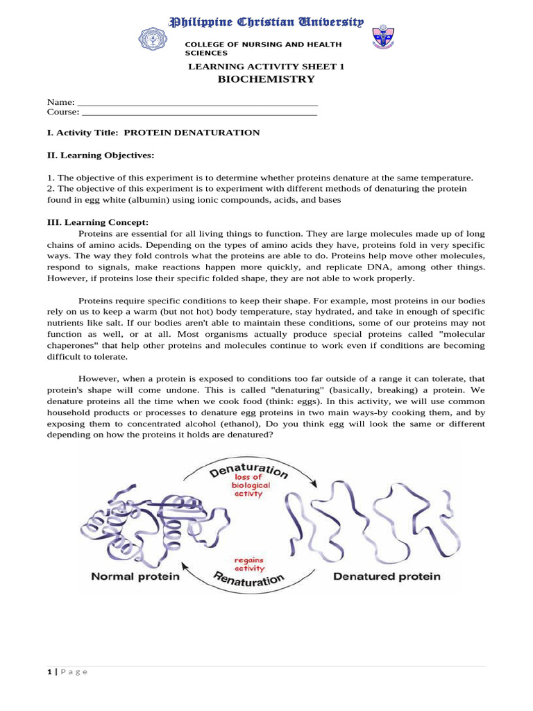 BIOCHEM_LABORATORY 6 (PROTEIN) | PDF | Proteins | Denaturation (Biochemistry)