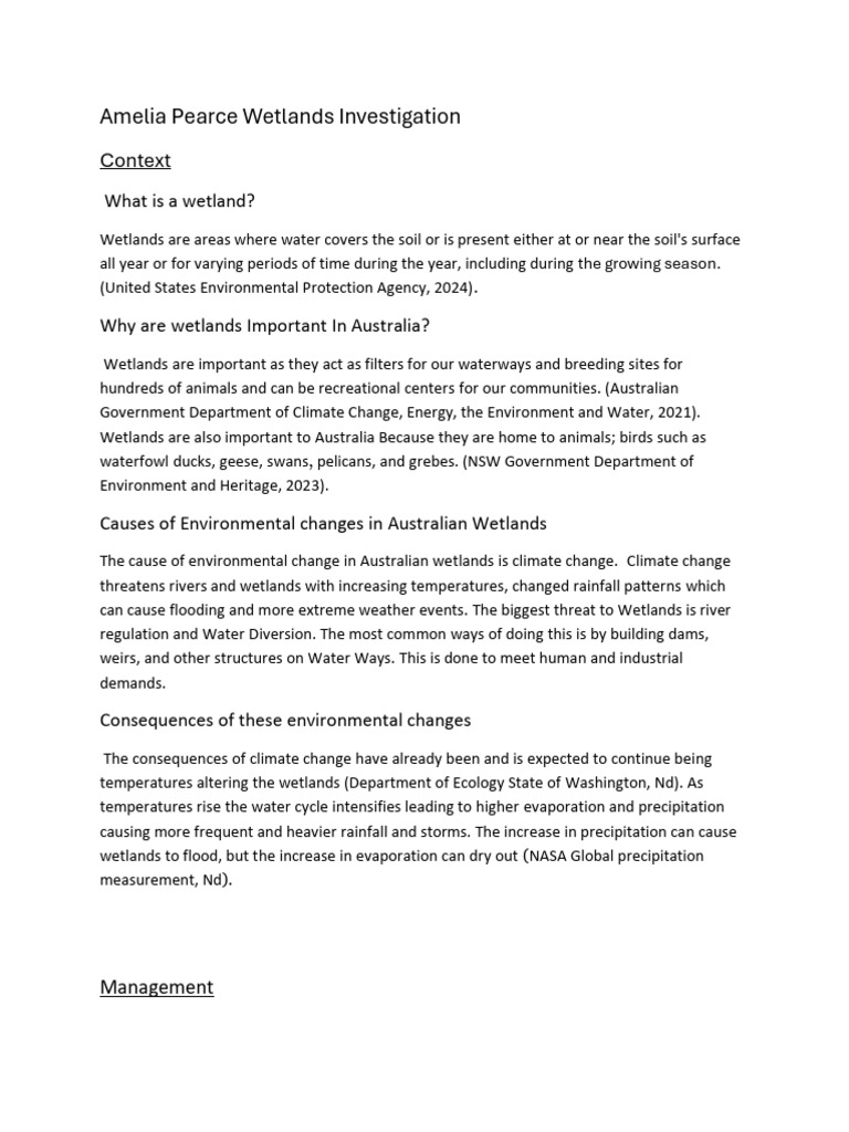 Wetlands Report | PDF | Wetland | Flood