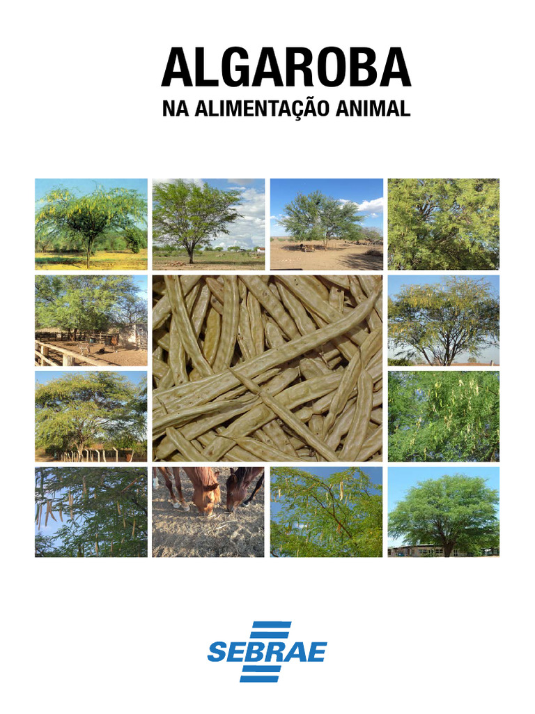Algaroba Na Alimentacao Animal | PDF | Leite | Agricultura