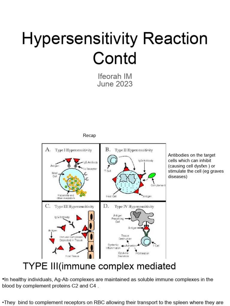 Hypersensitivity Reaction | PDF | Complement System | Immune System